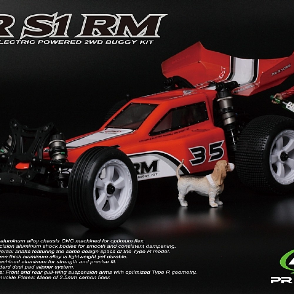 2024 PR S1 RM 2wd Buggy kit